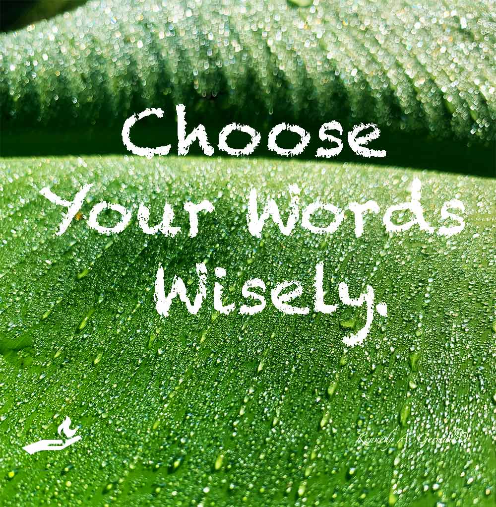 The Words of a Leader Matter - Even The Simple Sayings - Germain ...